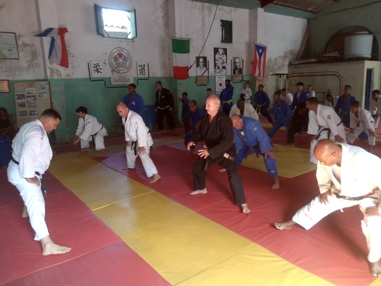 Guerreros de la persistencia - Periódico Girón